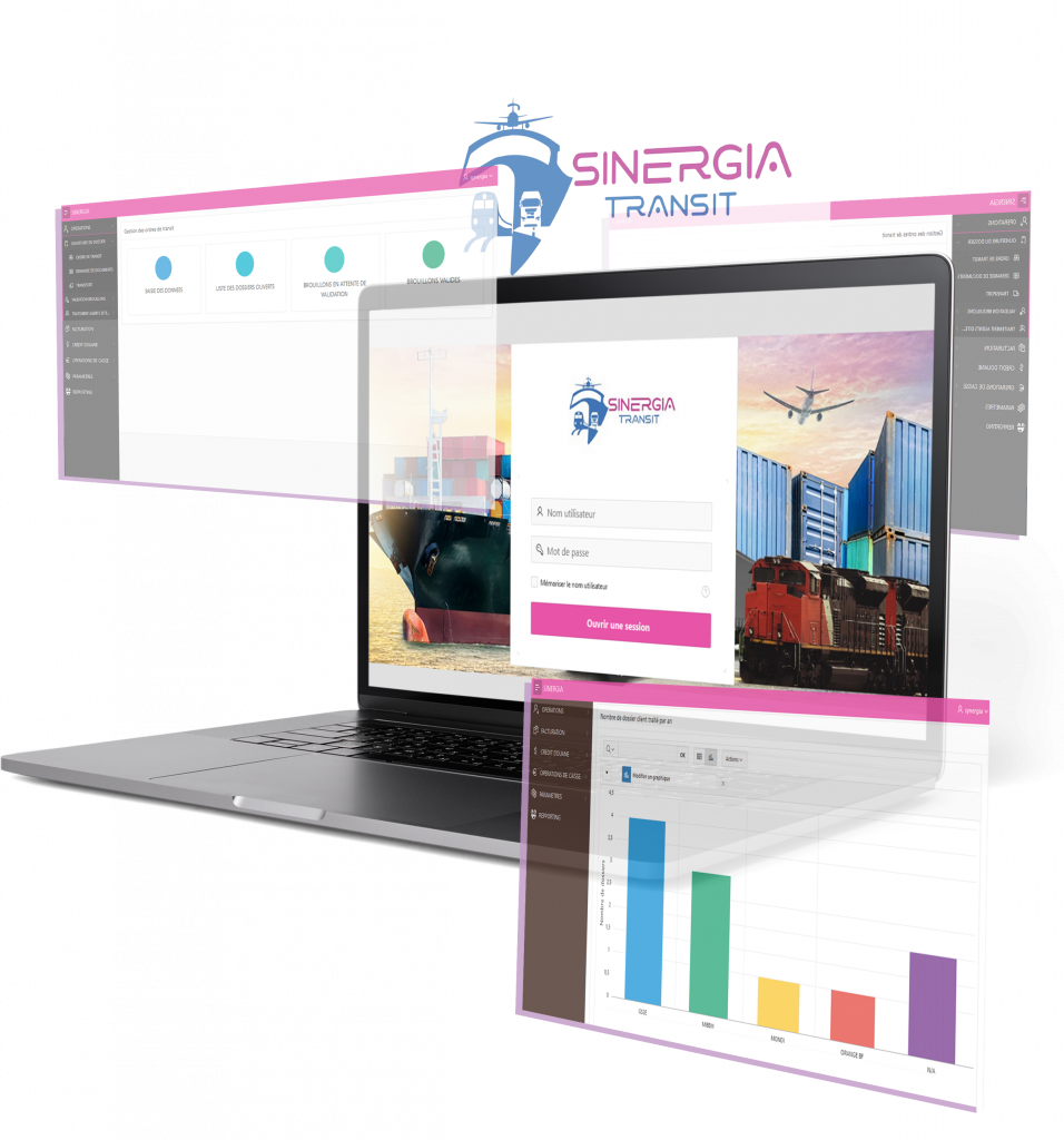 Sinergia Transit v2 – NewDay SA